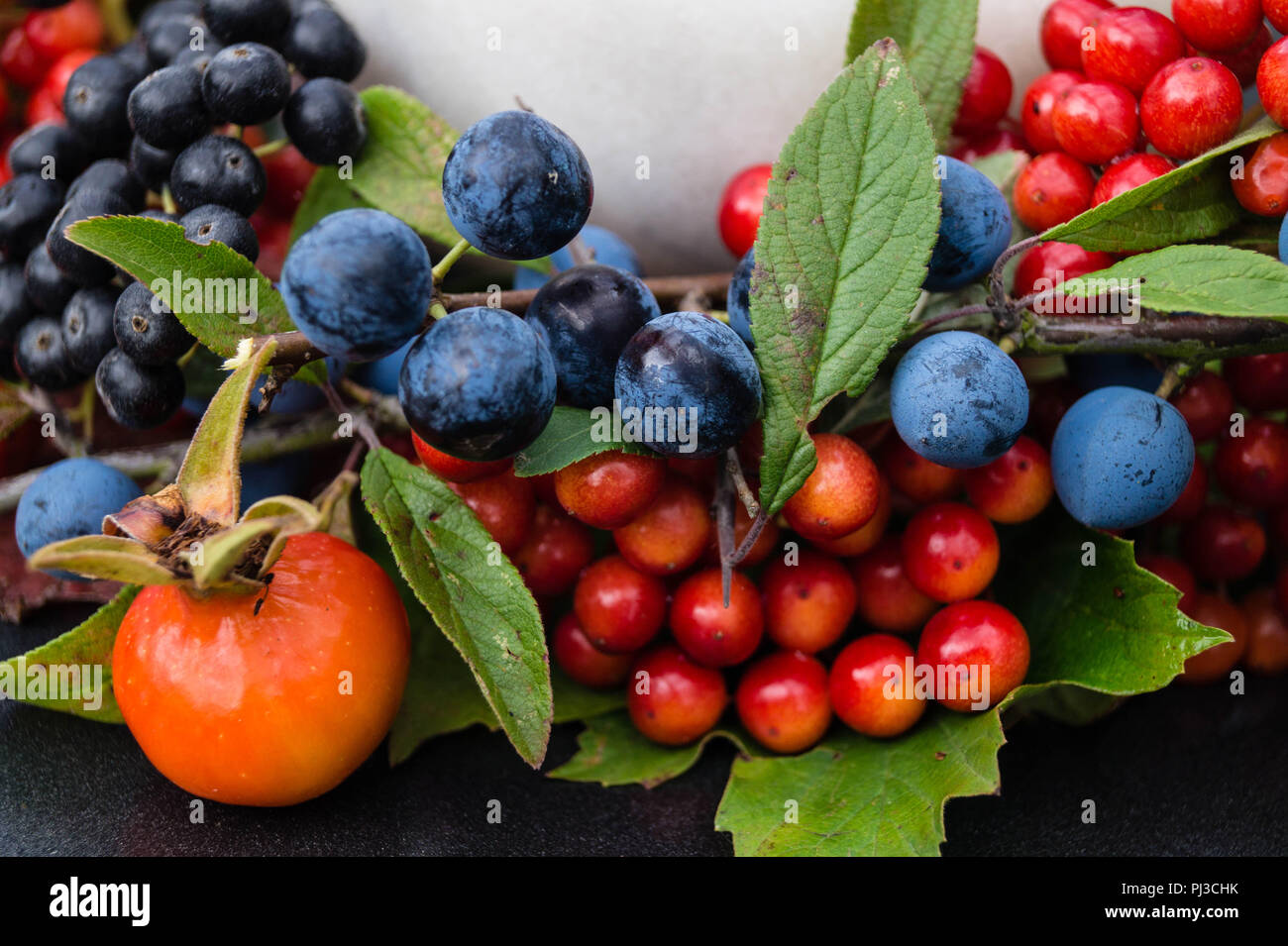 different berries colourful and healthy Stock Photo - Alamy