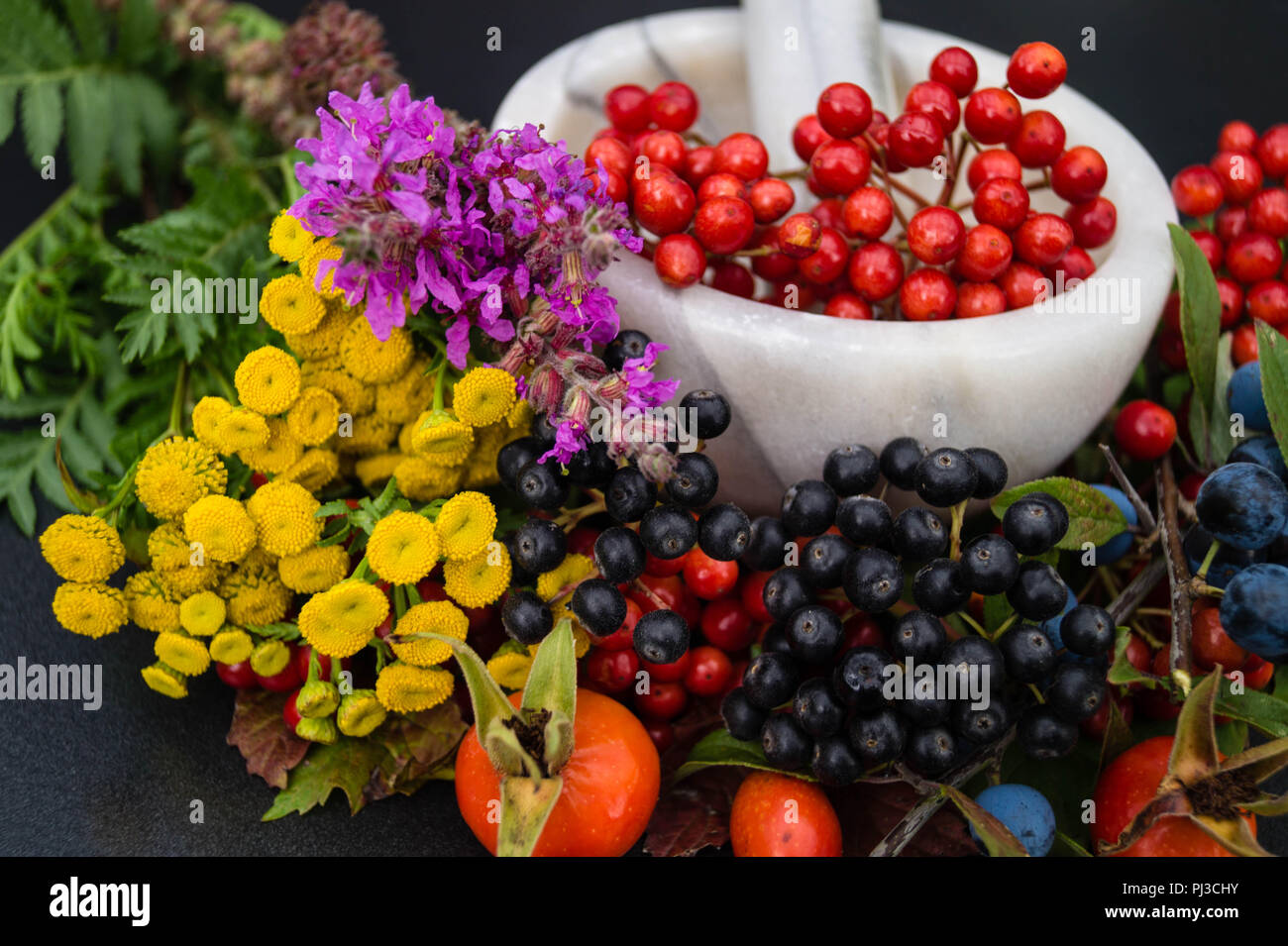 different berries colourful and healthy Stock Photo - Alamy