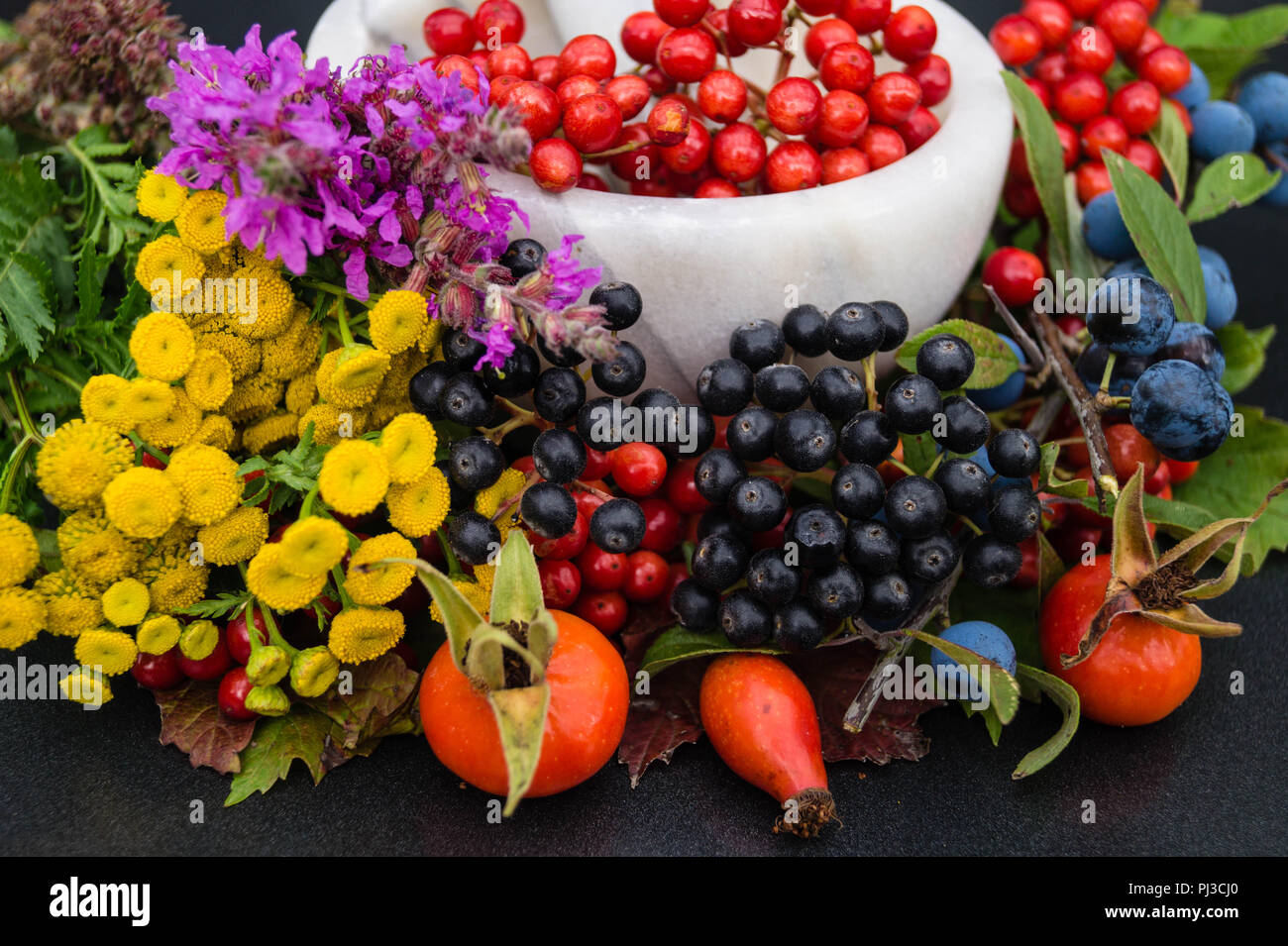 different berries colourful and healthy Stock Photo - Alamy