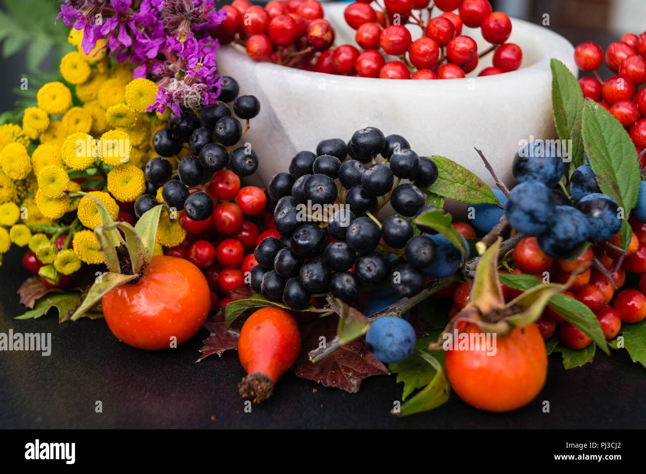different berries colourful and healthy Stock Photo - Alamy