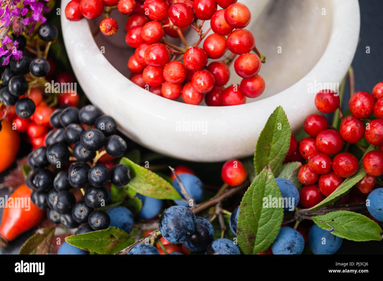 different berries colourful and healthy Stock Photo - Alamy