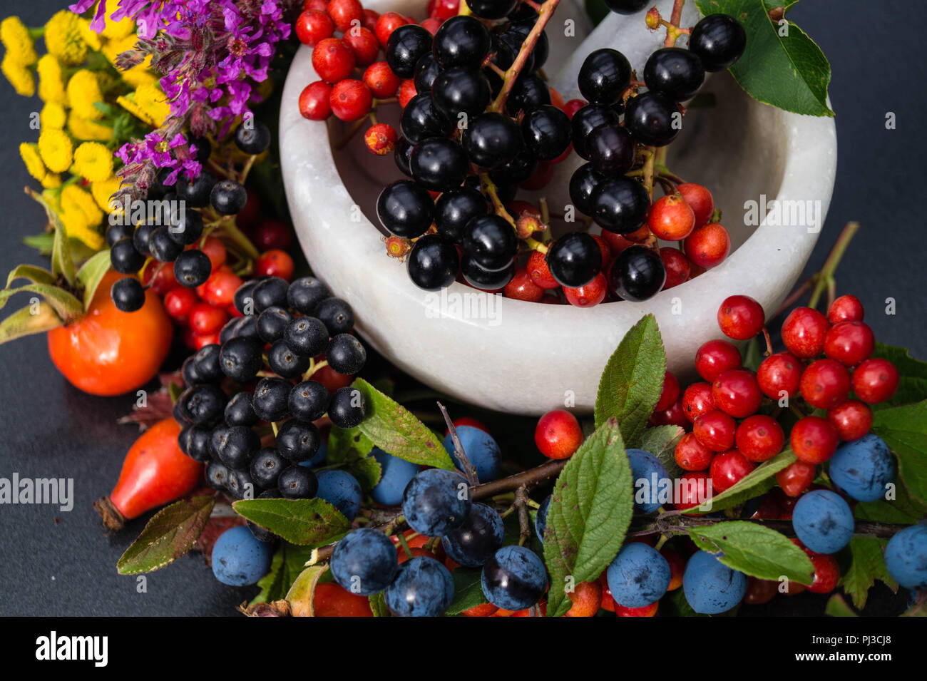 different berries colourful and healthy Stock Photo - Alamy