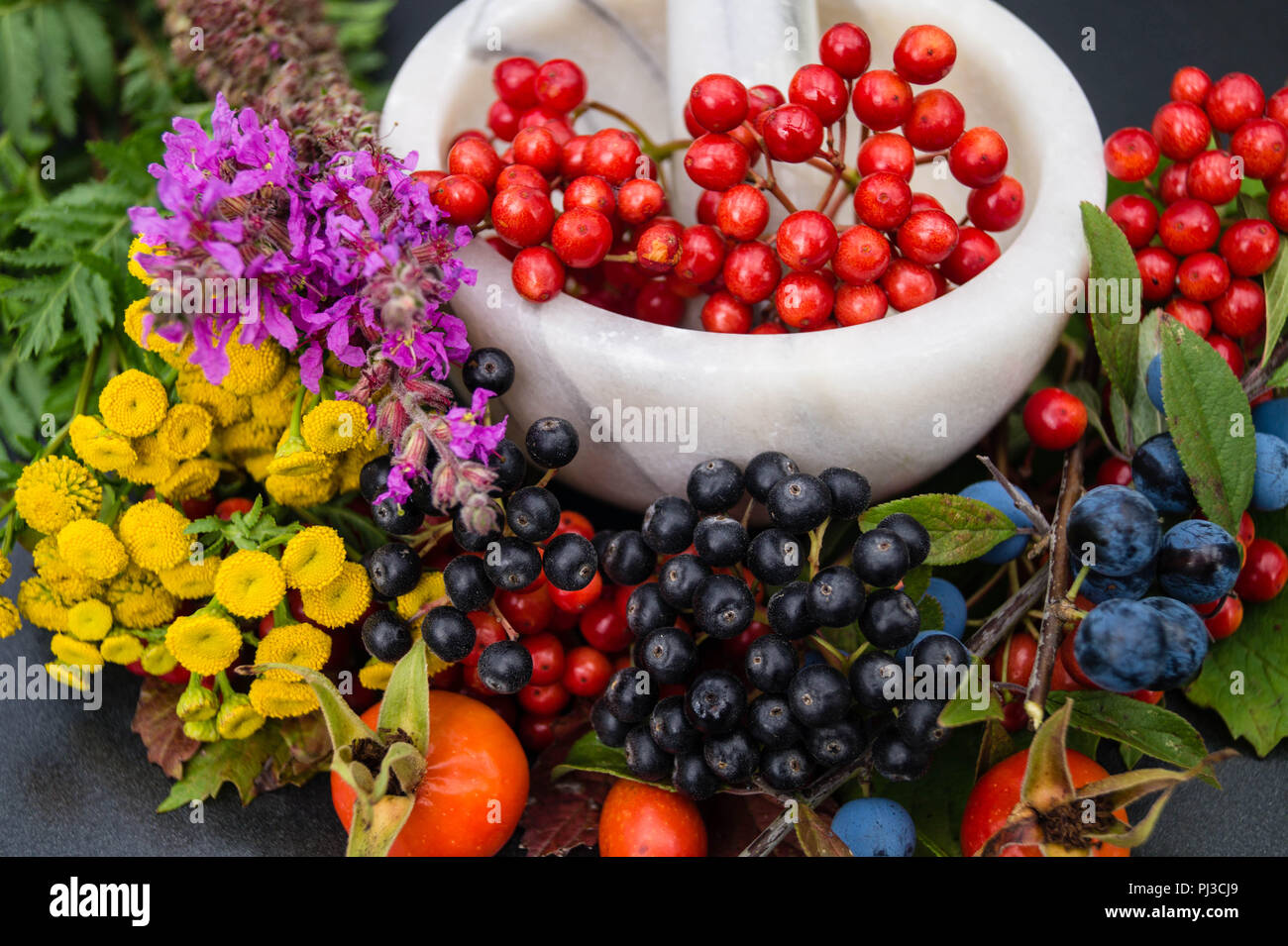 different berries colourful and healthy Stock Photo - Alamy
