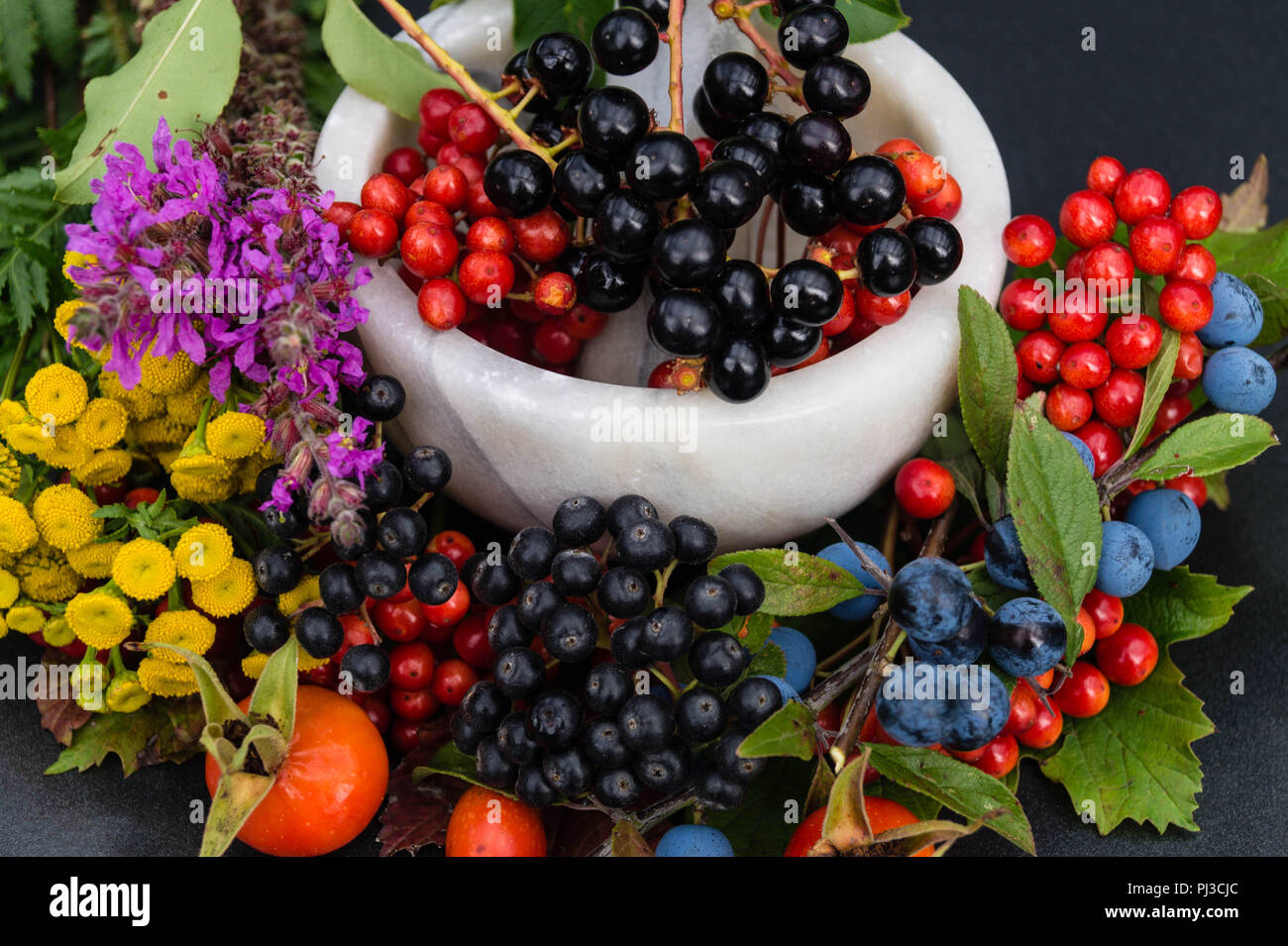 different berries colourful and healthy Stock Photo - Alamy