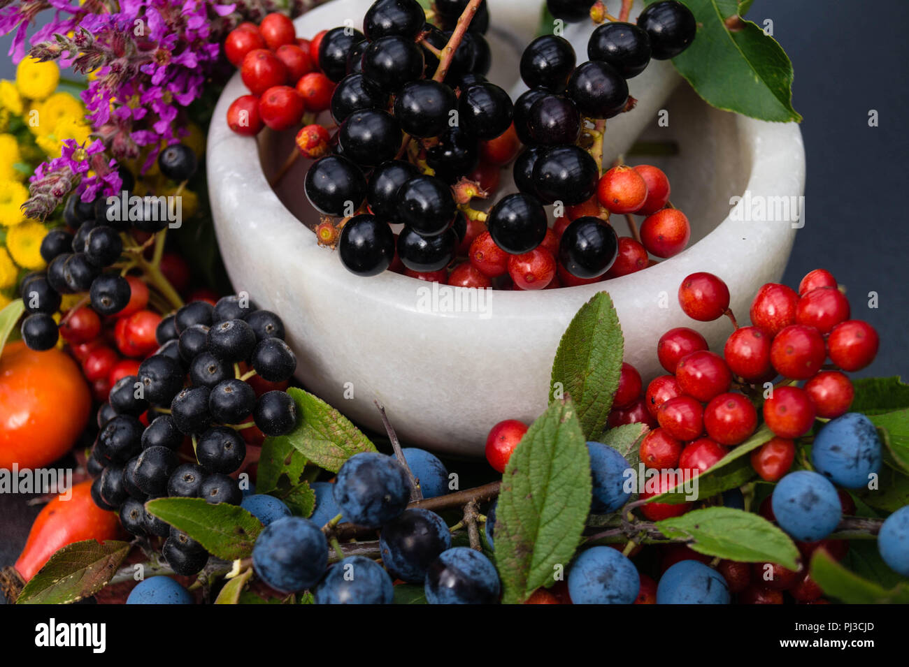 different berries colourful and healthy Stock Photo - Alamy