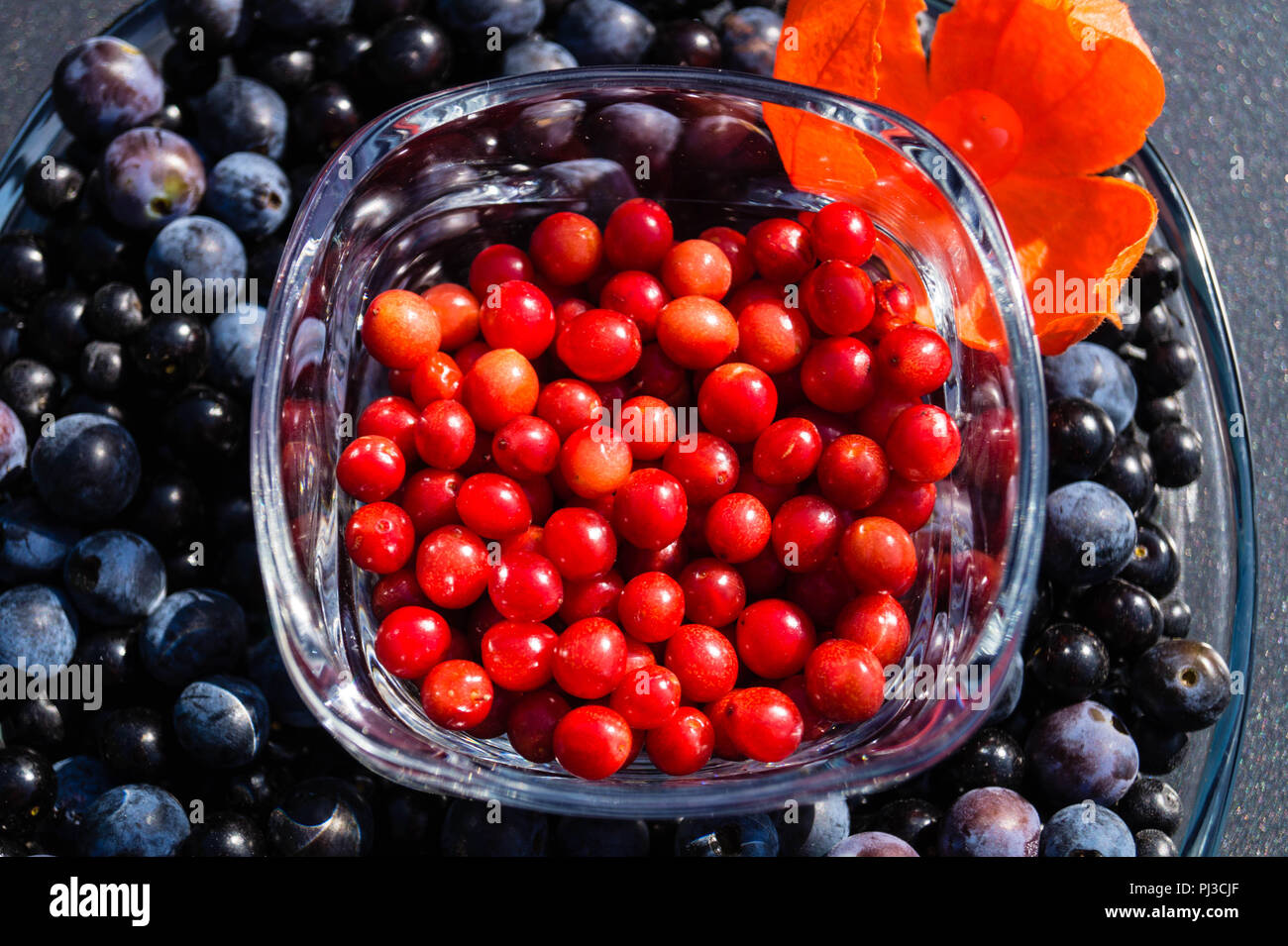 different berries colourful and healthy Stock Photo - Alamy