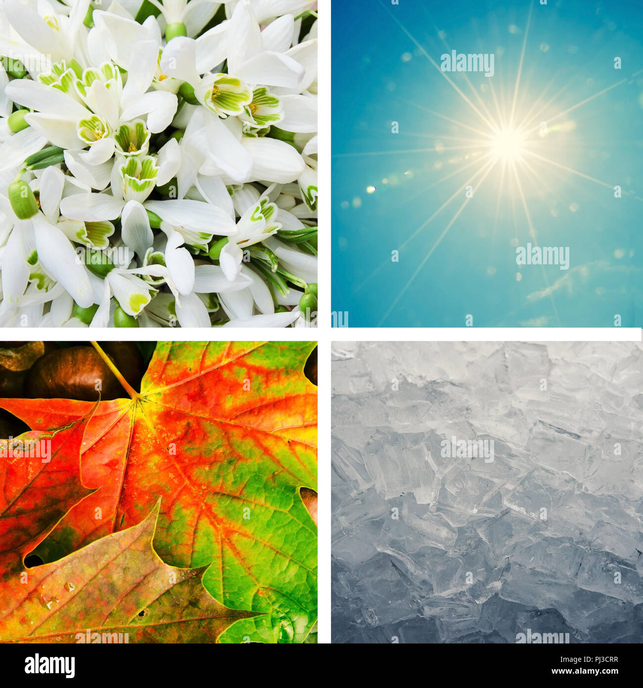 4 seasons collage hi-res stock photography and images - Alamy