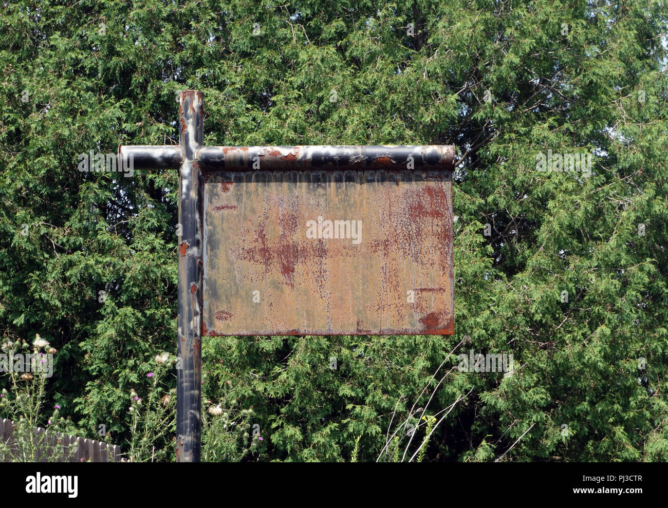 rusty blank iron signpost in the woods Stock Photo - Alamy