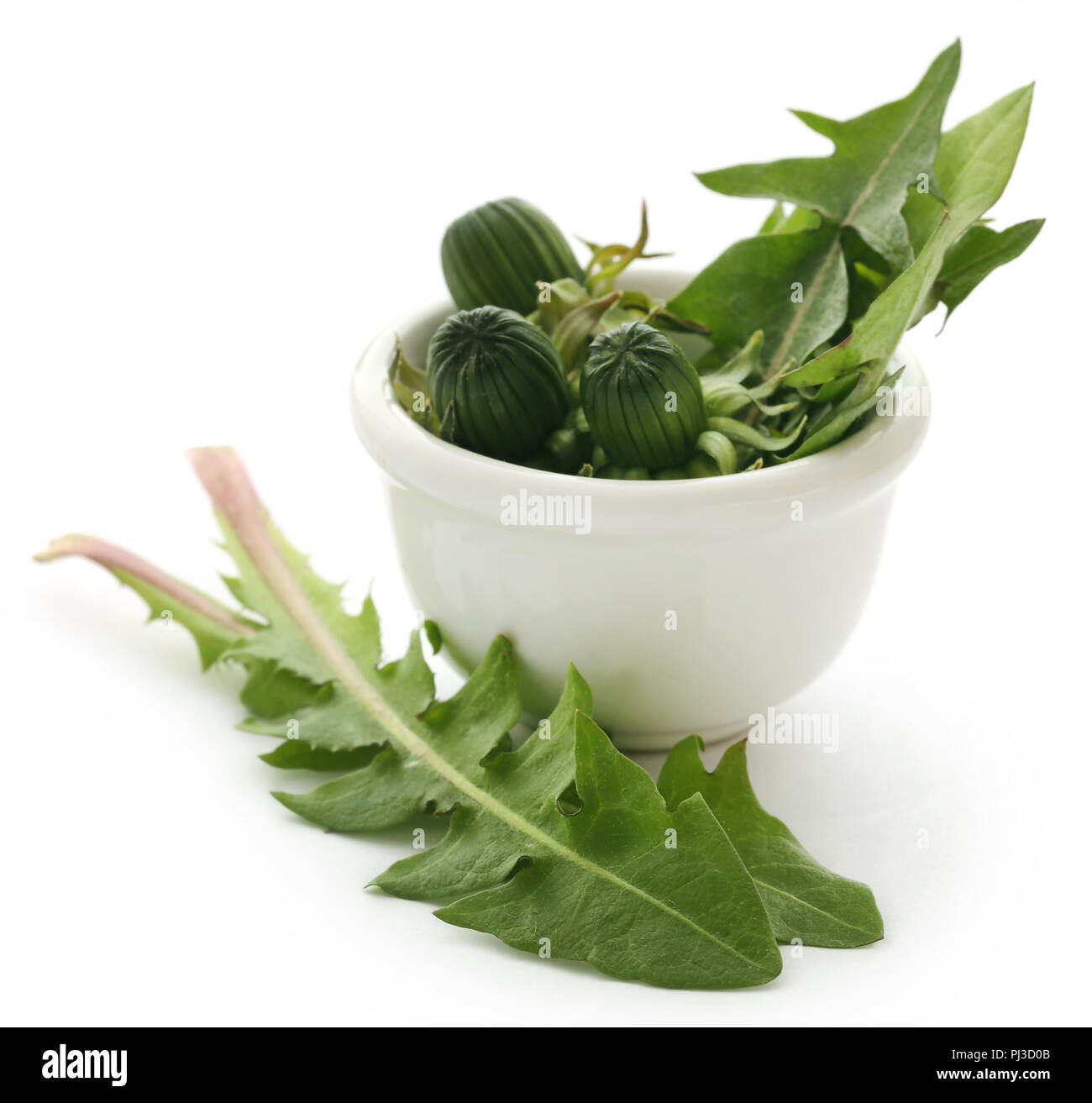 Closeup beautiful dandelion Cut Out Stock Images & Pictures - Alamy