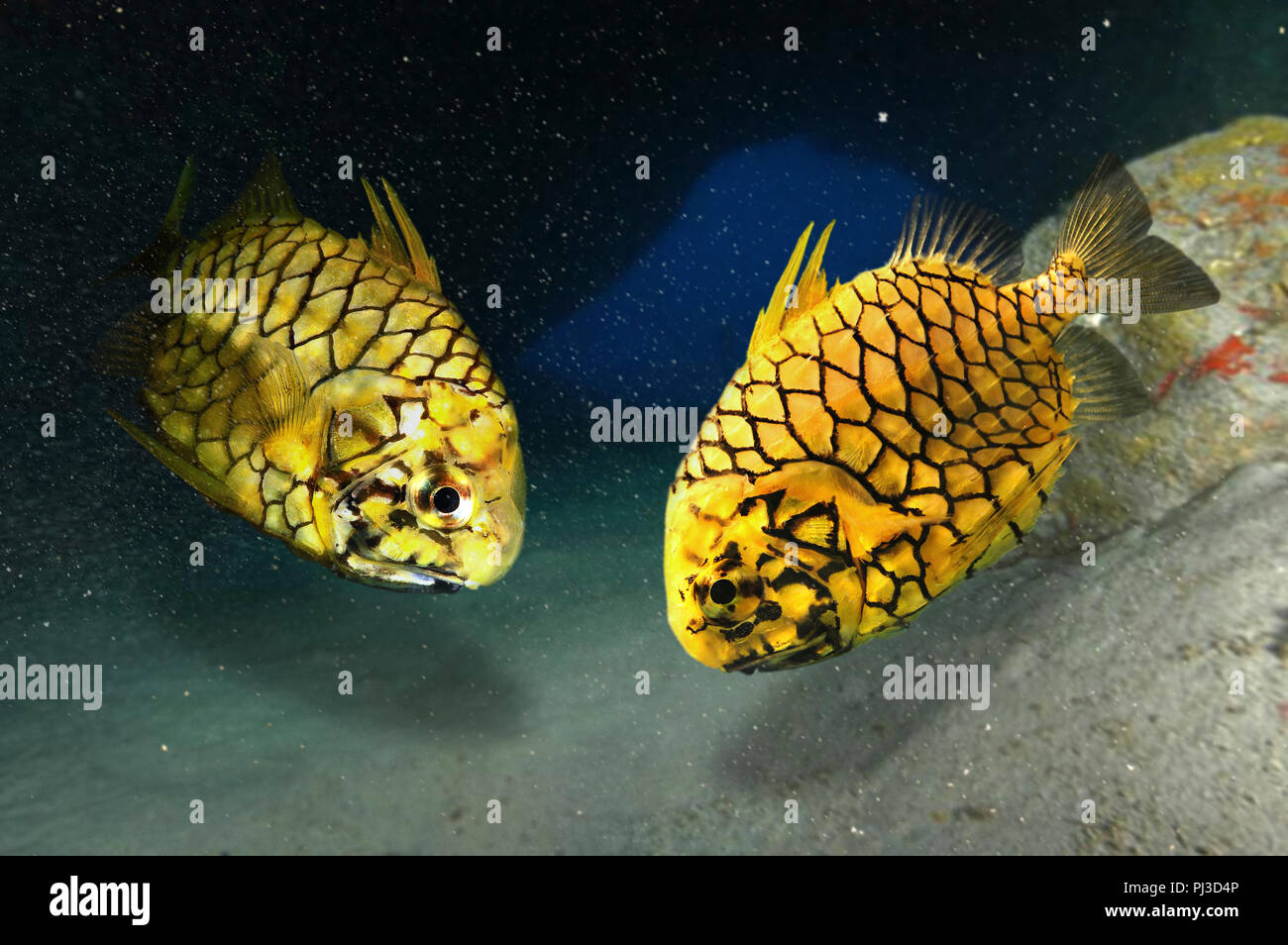 Two Oceans Stock Photos & Two Oceans Stock Images - Alamy