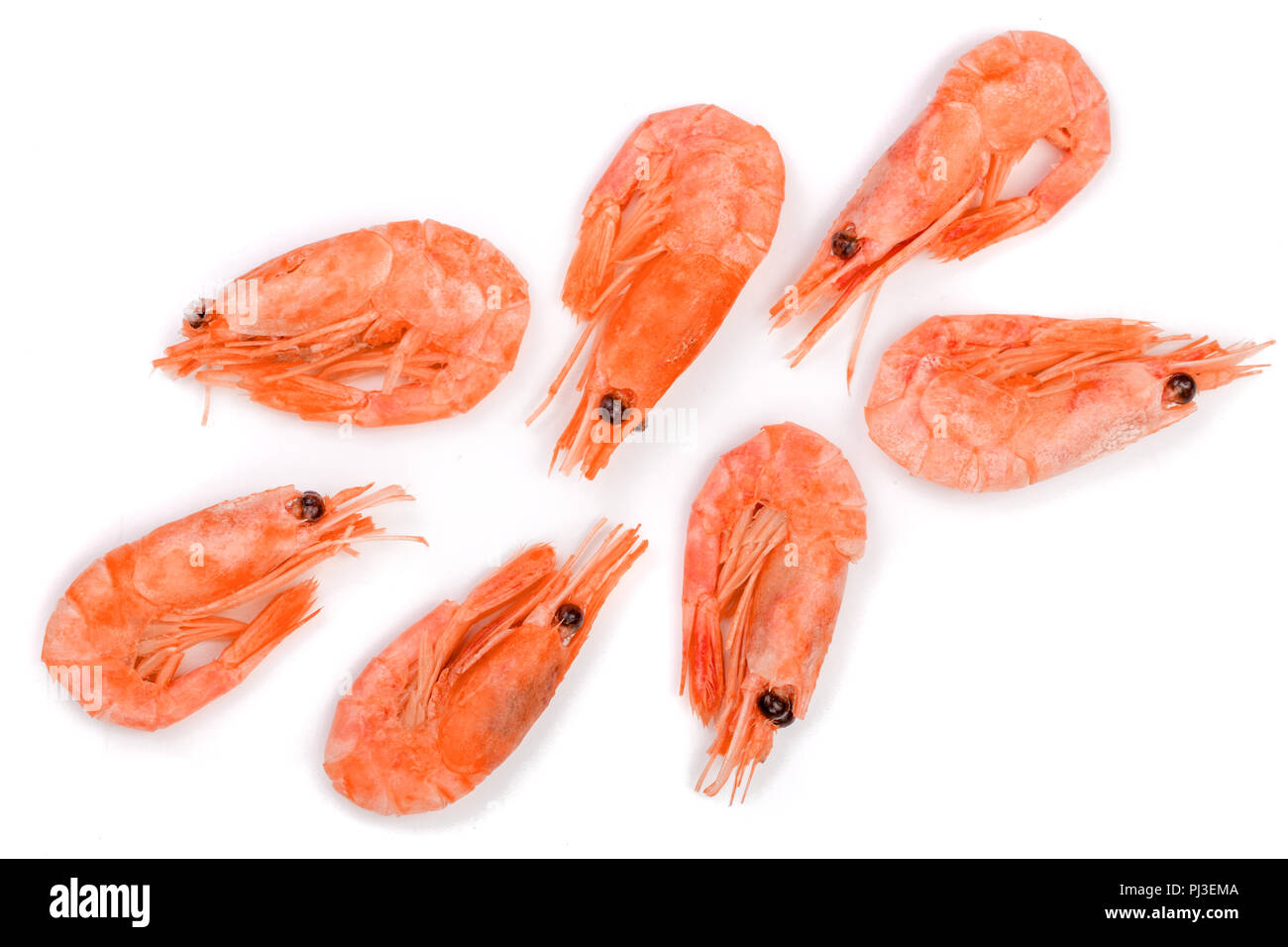 Red cooked prawn or shrimp isolated on white background. Top view. Flat ...