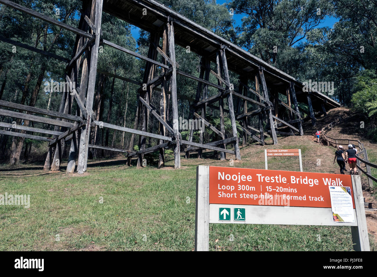 Noojee trestle bridge,walking trail, Victoria, Australia Stock Photo ...