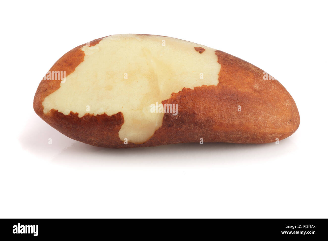 Brazil nuts isolated on white background closeup Stock Photo - Alamy