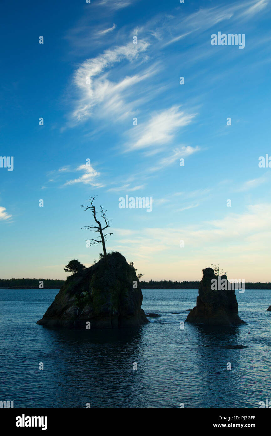 Tillamook silhouette hi-res stock photography and images - Alamy