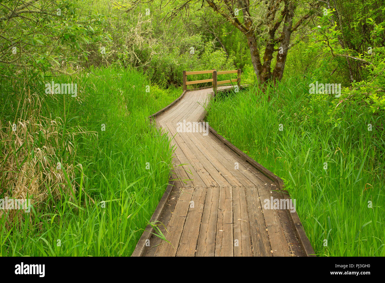 Jackson frazier wetland park hi-res stock photography and images - Alamy