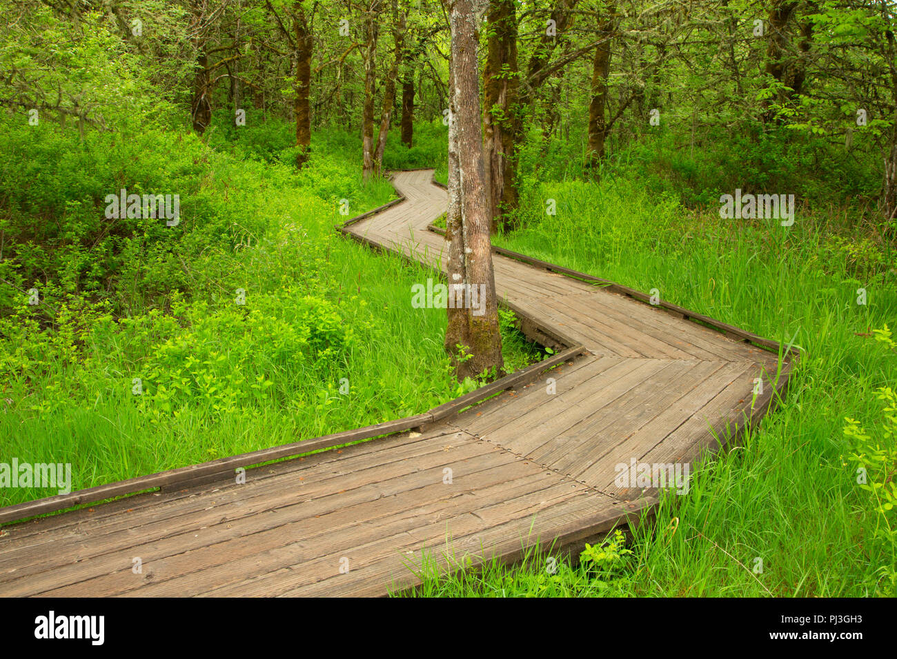 Jackson frazier hi-res stock photography and images - Alamy