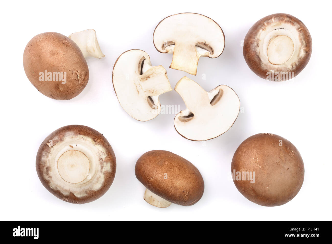 Fresh champignon mushrooms isolated on white background. Top view. Flat ...