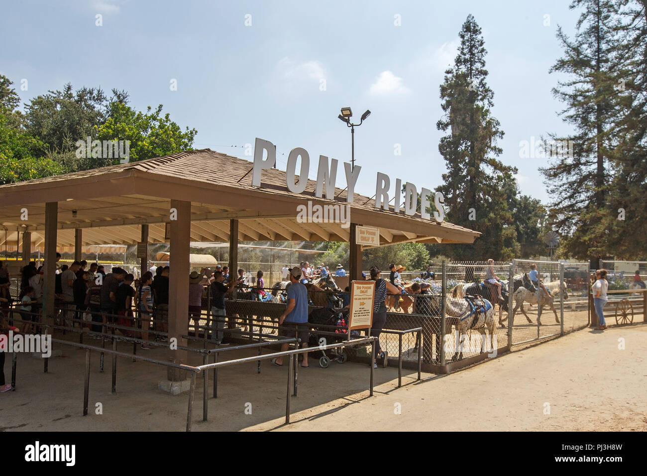 Griffth Park Pony Rides, Los Angeles, California, United States of ...