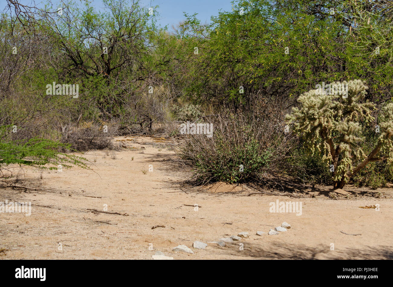 Path through the desert hi-res stock photography and images - Alamy
