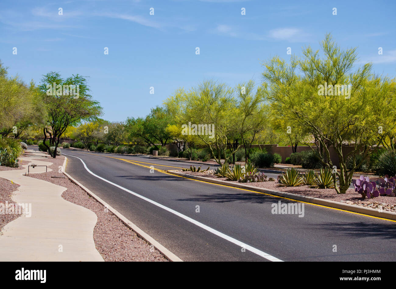 Desert landscaping hi-res stock photography and images - Alamy