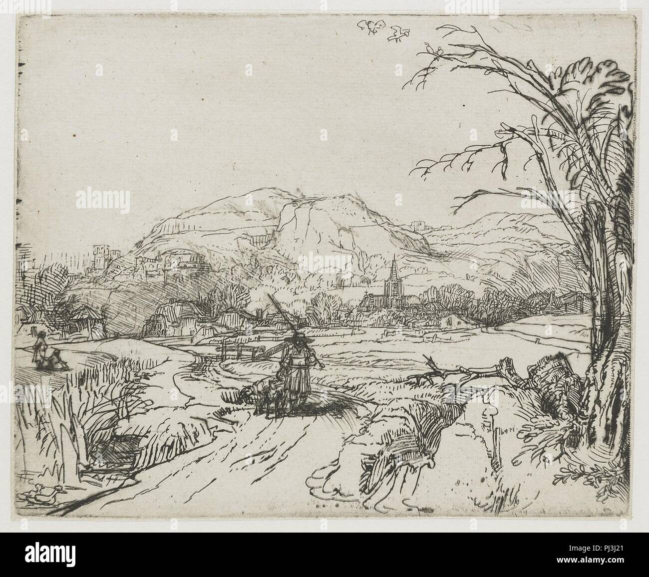 B211 hi-res stock photography and images - Alamy