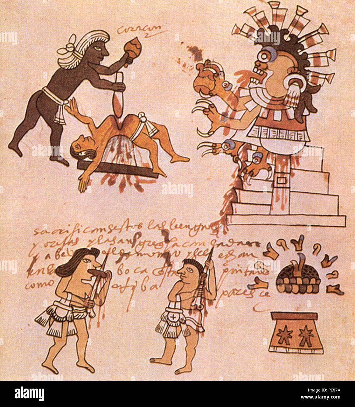 Bloodletting hi-res stock photography and images - Alamy