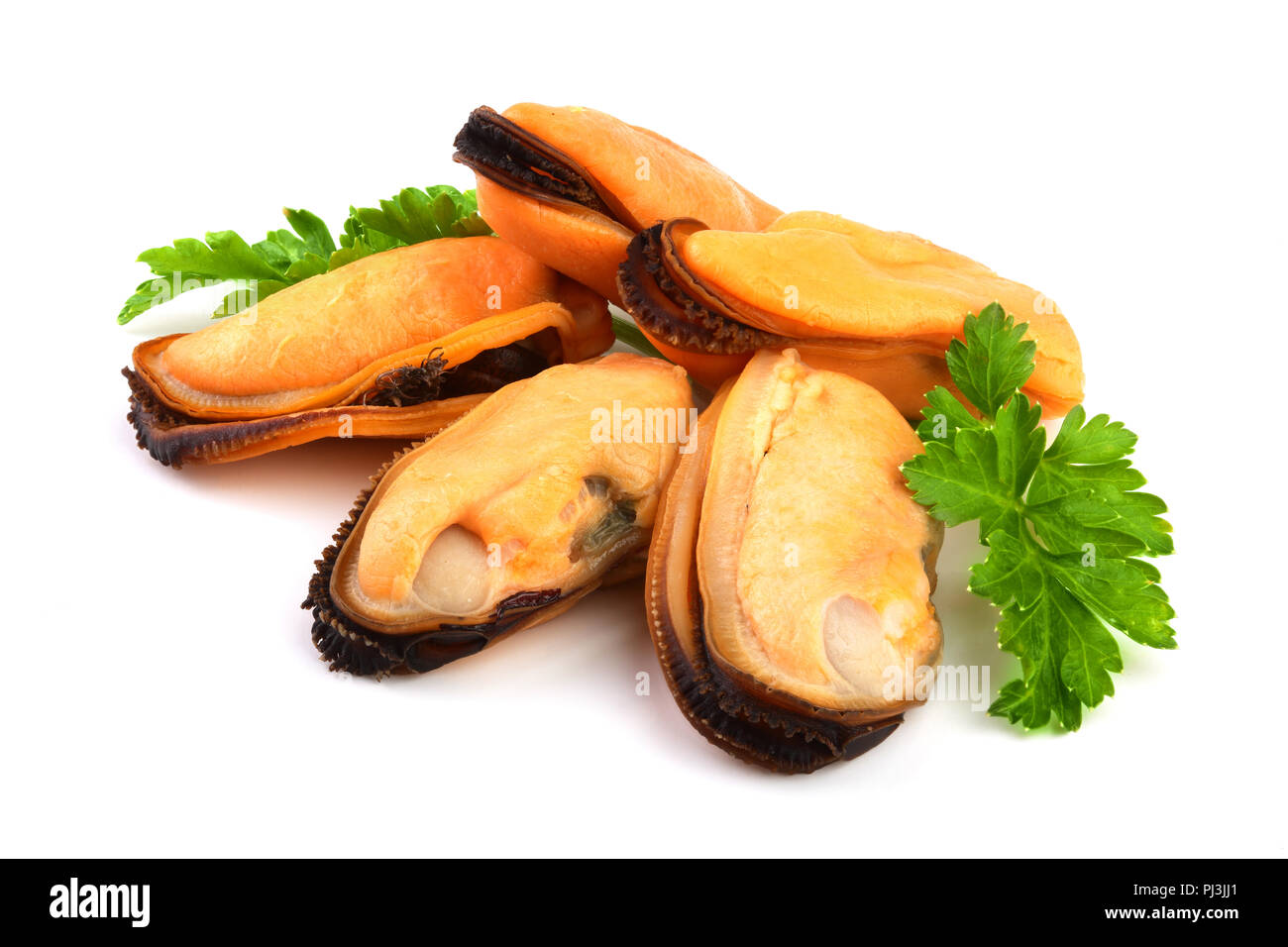 Isolated mussel hi-res stock photography and images - Alamy