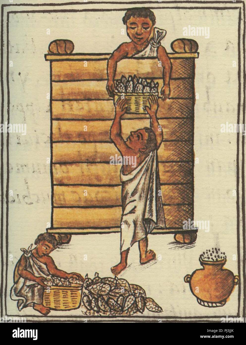 Aztecs storing maize hi-res stock photography and images - Alamy