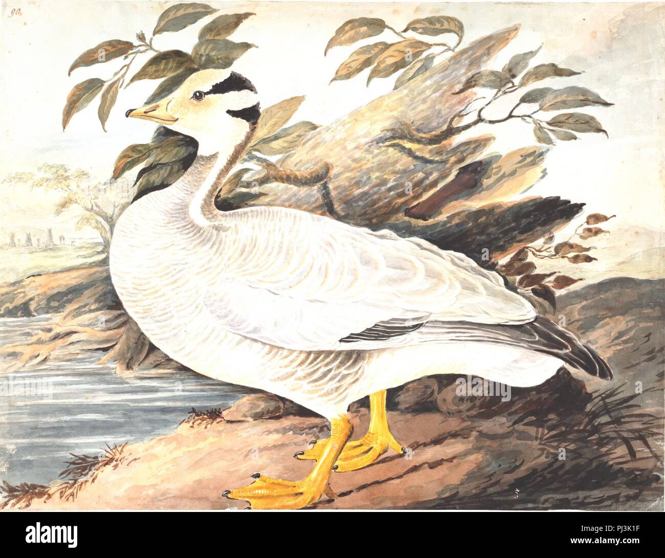 Gwillim hi-res stock photography and images - Alamy