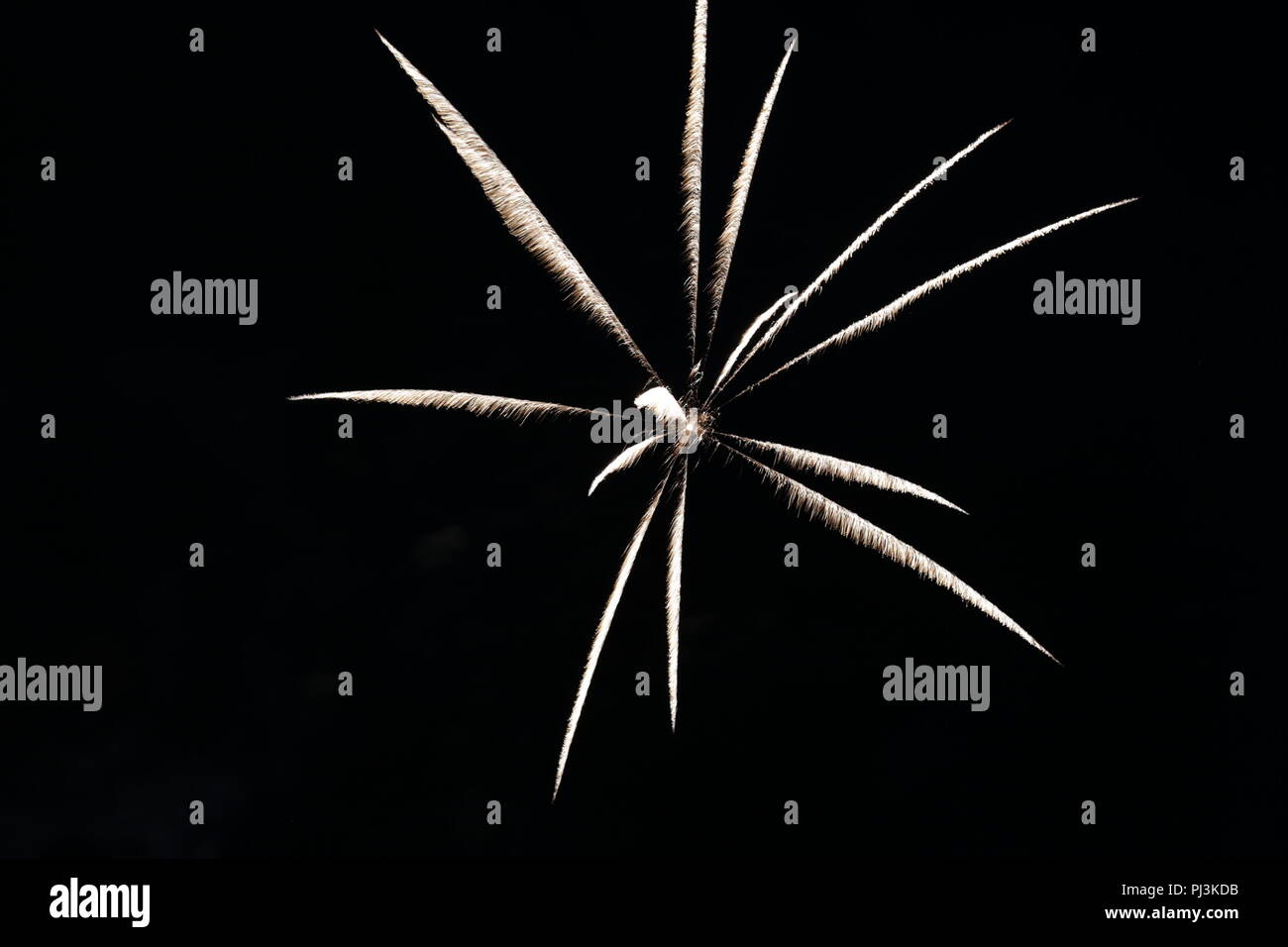 Fireworks line hi-res stock photography and images - Alamy