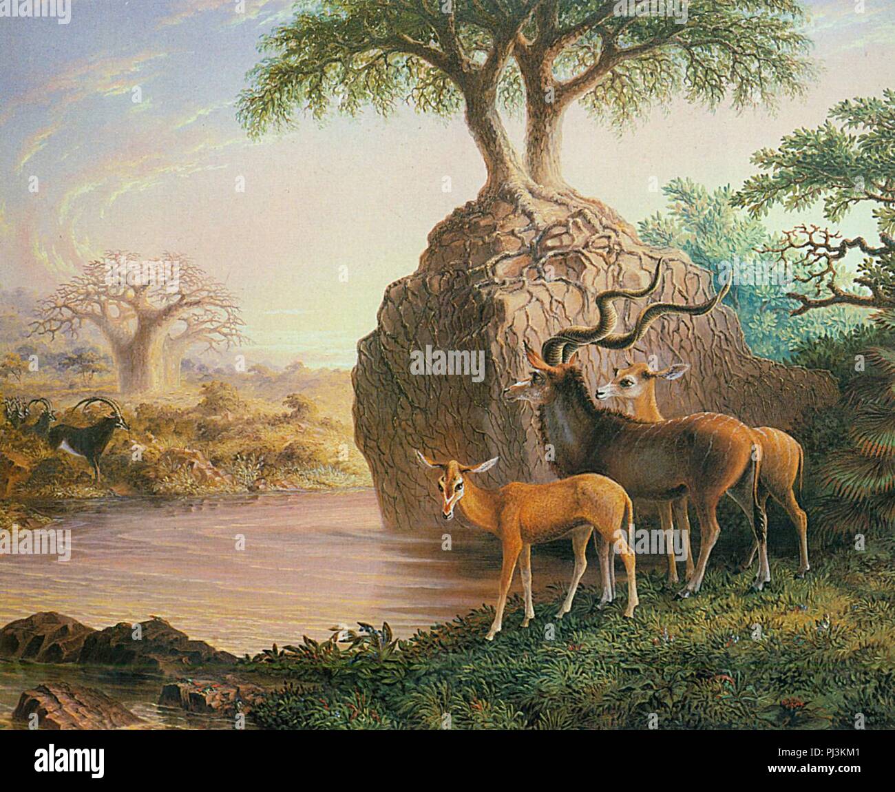 Baines collection hi-res stock photography and images - Alamy