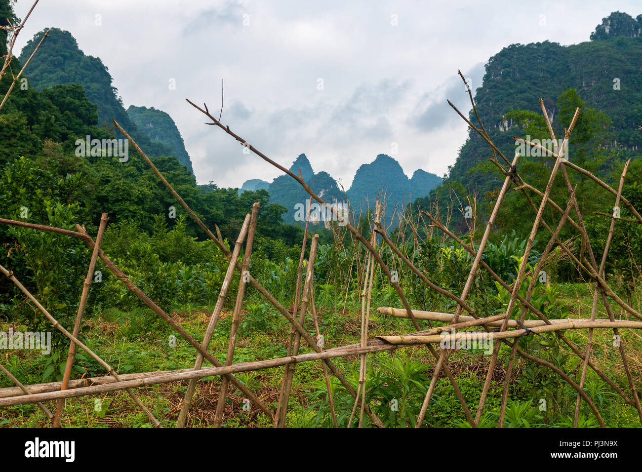 The famous landscape of karst peaks in Yangshuo town of China. Asian ...