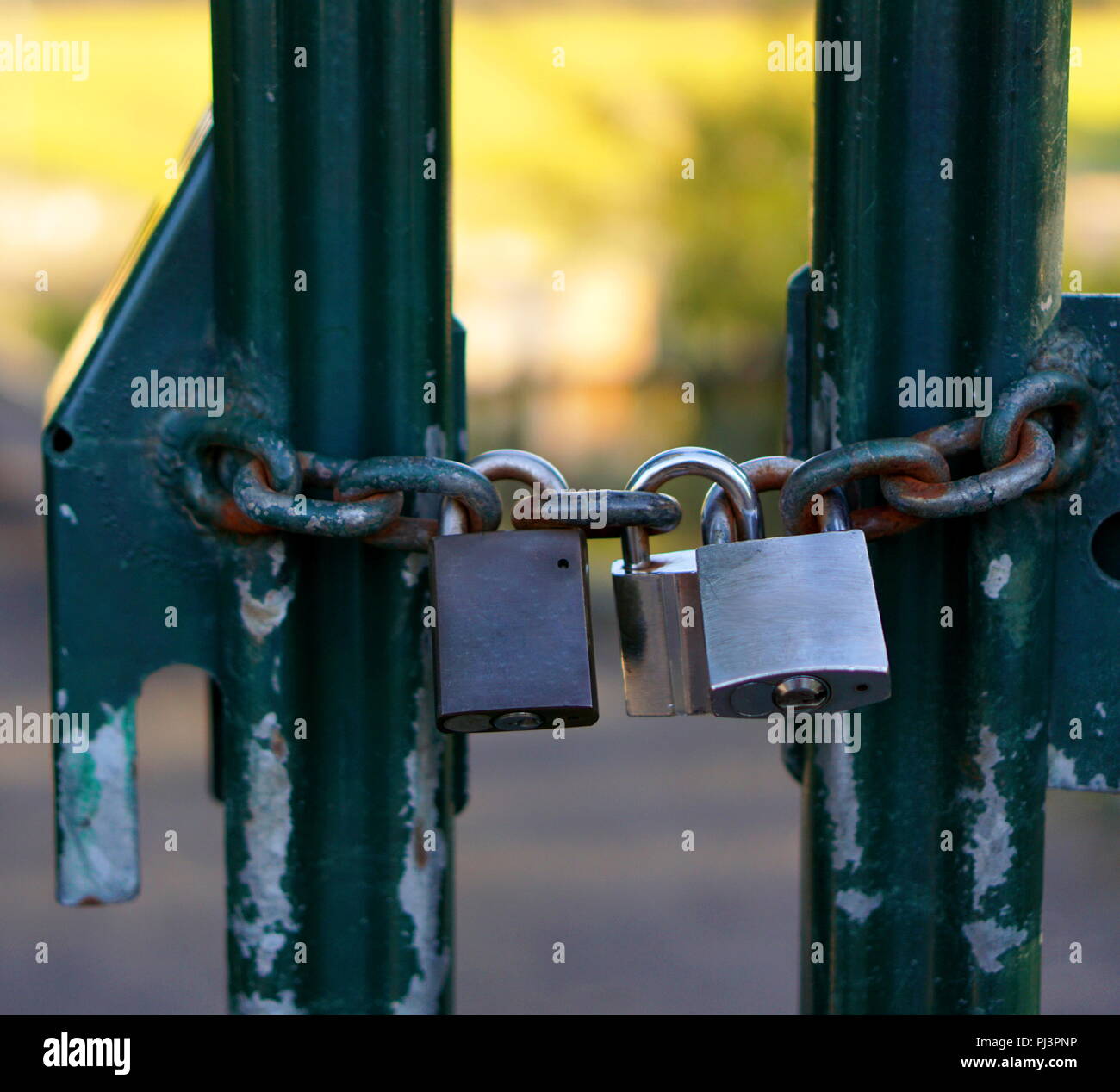 Close up view of chain and padlock locking green gate Stock Photo - Alamy