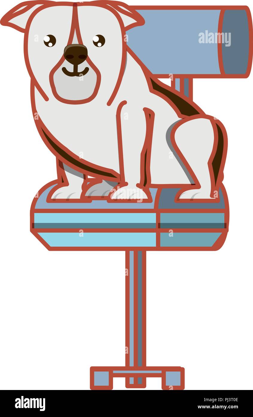 cute bulldog on office chair over white background, vector illustration ...