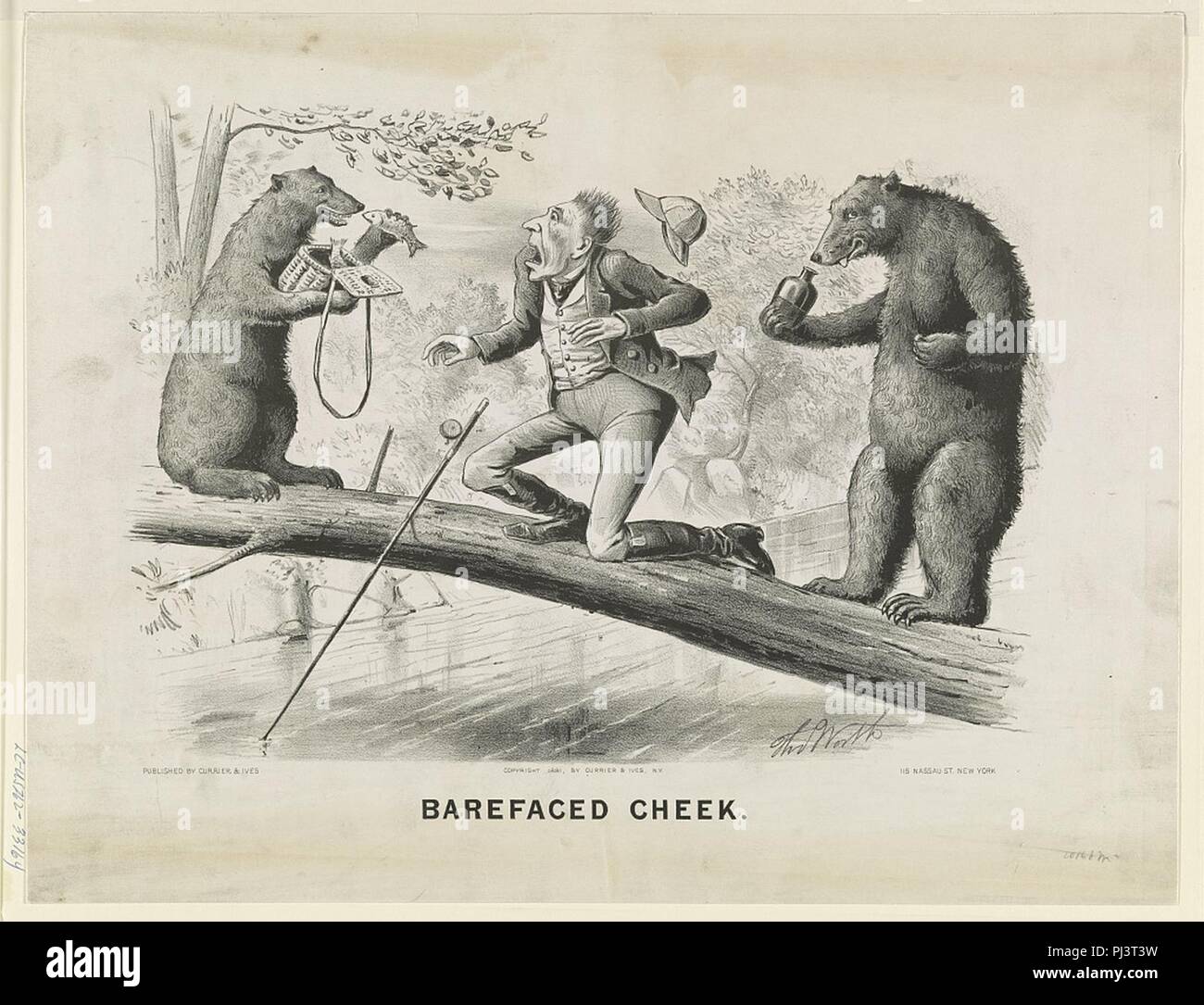 Barefaced hi-res stock photography and images - Alamy