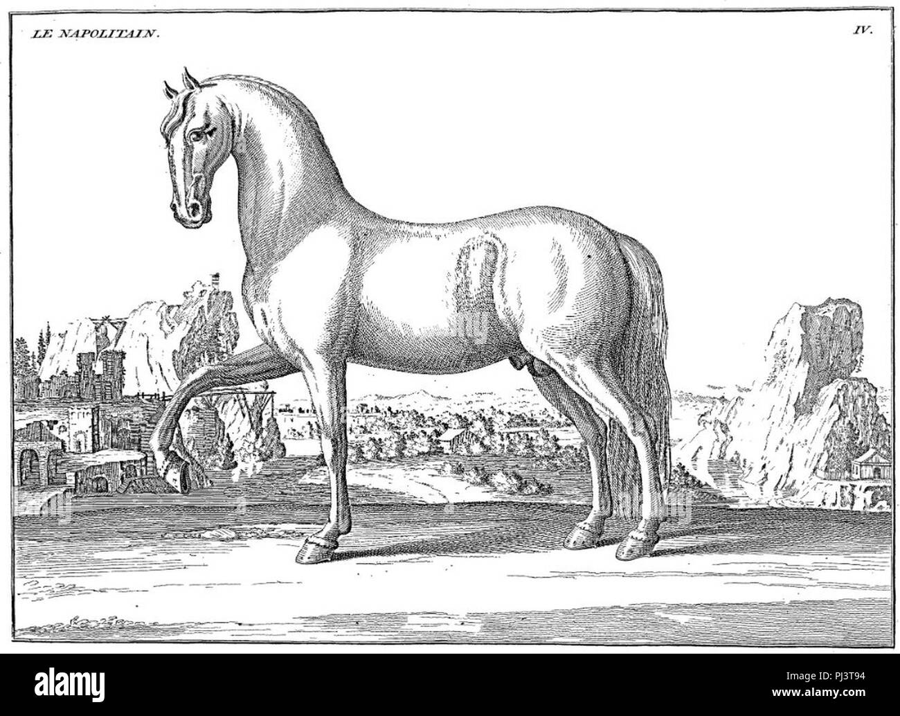 Baron d hi-res stock photography and images - Alamy