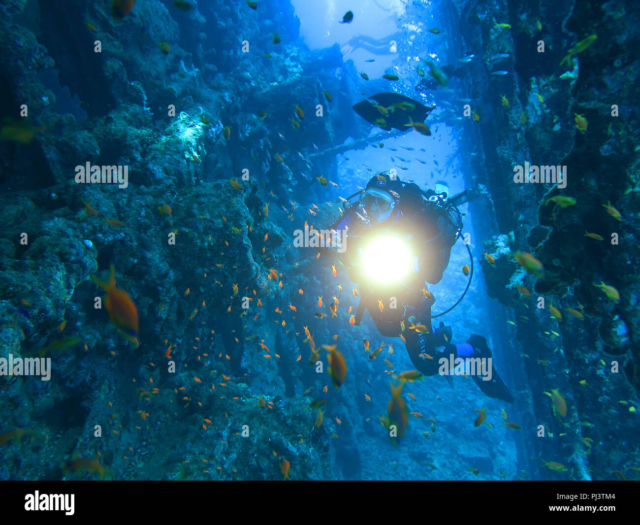 Carnatic wreck hi-res stock photography and images - Alamy