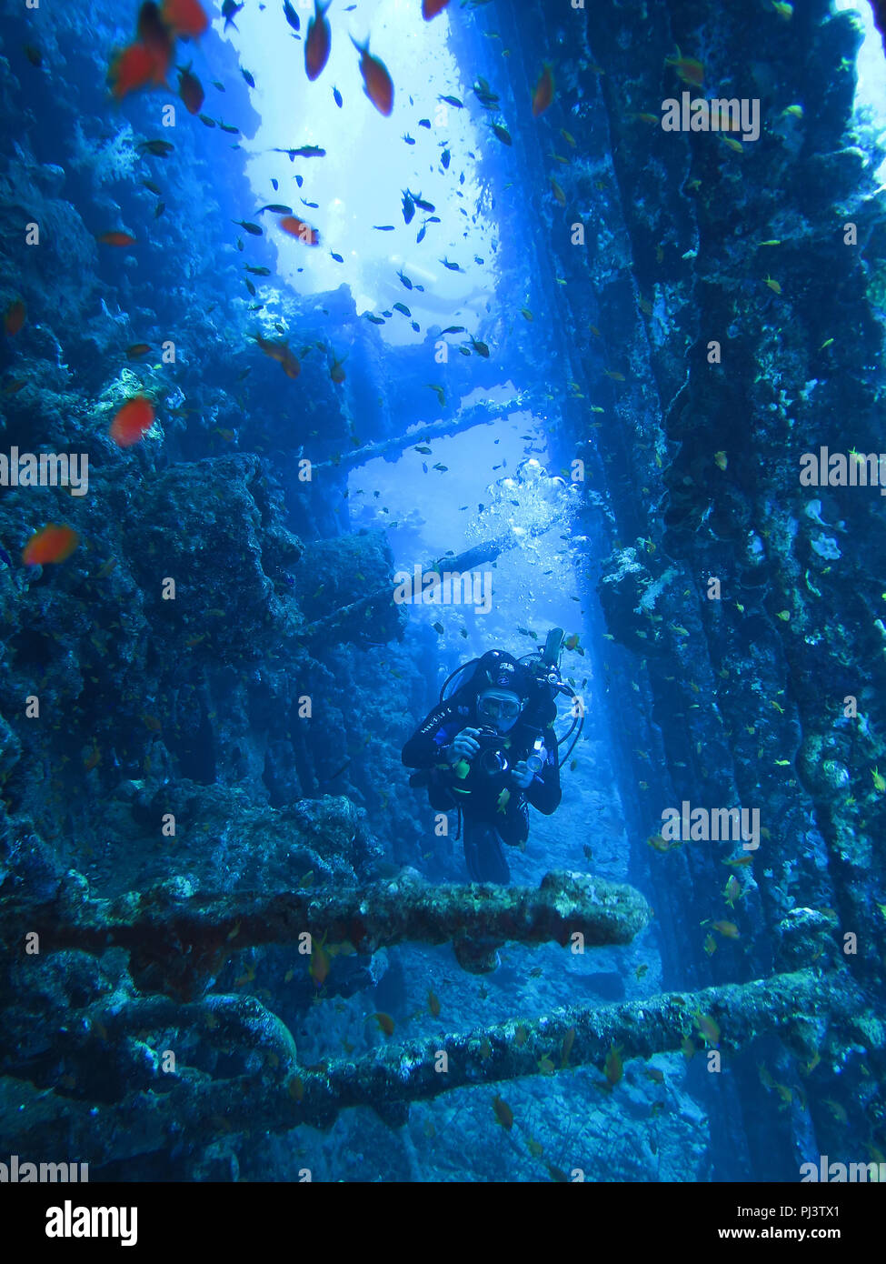 The Carnatic Ship Wreck Red Sea Egypt High Resolution Stock Photography ...