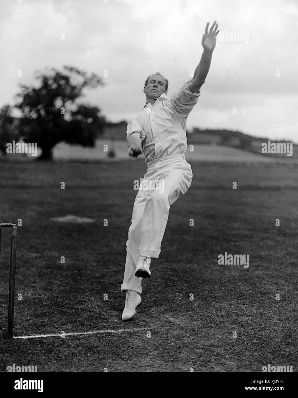 Bart king hi-res stock photography and images - Alamy