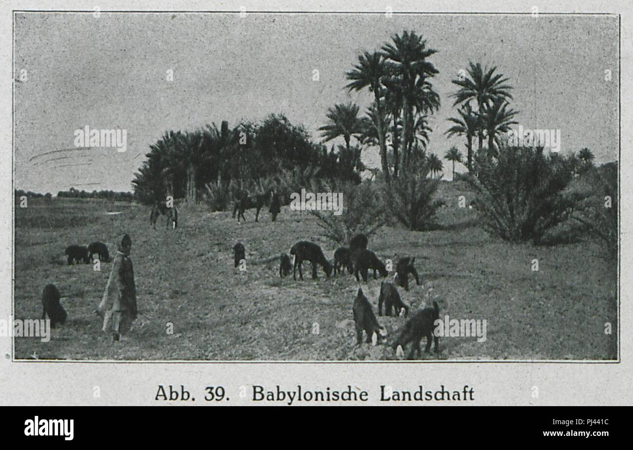 Babylonische hi-res stock photography and images - Alamy