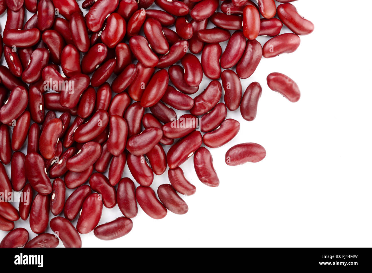 red kidney bean isolated on white background with copy space for your ...