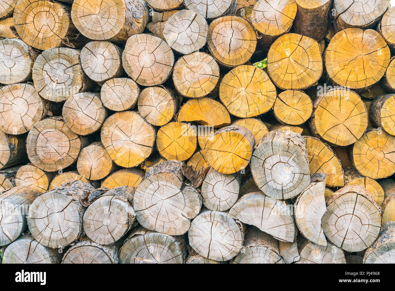 stack of logs Stock Photo - Alamy
