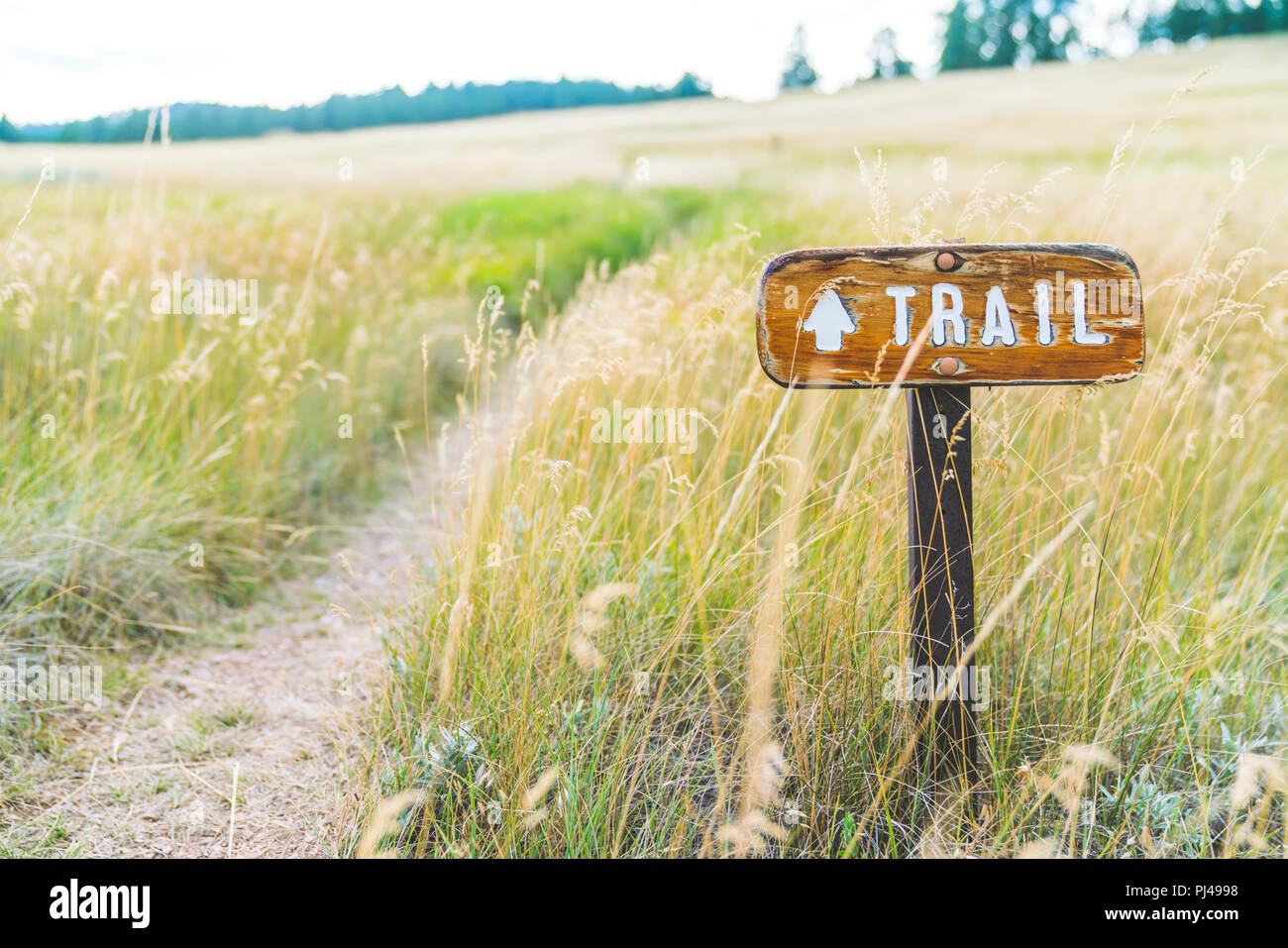 Pathway signs hi-res stock photography and images - Alamy