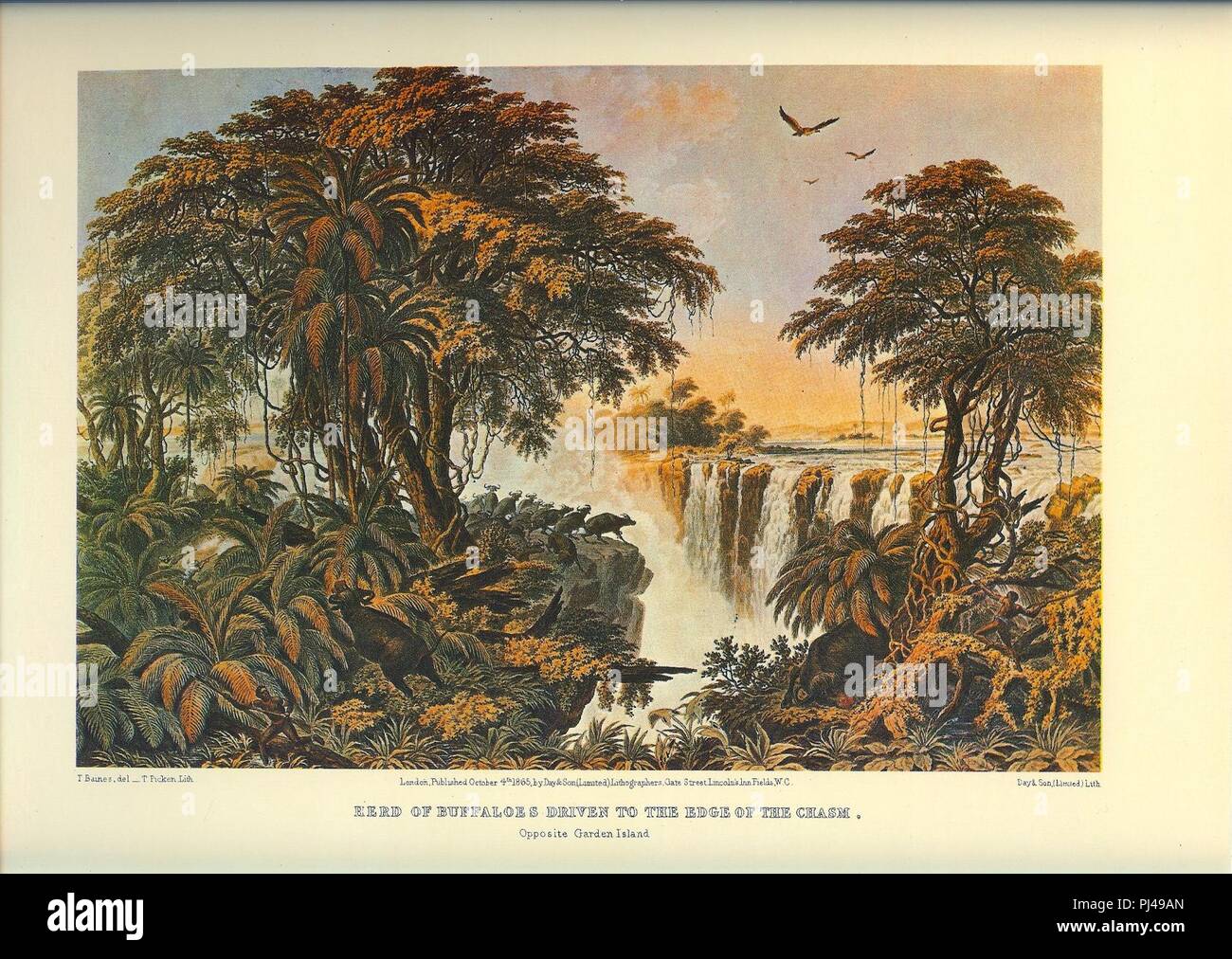 Baines collection hi-res stock photography and images - Alamy