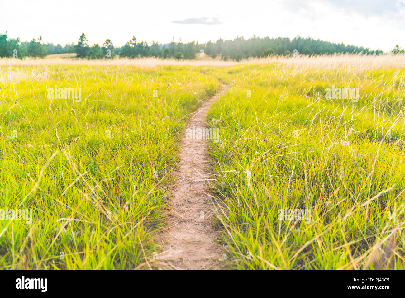 Grass pathways hi-res stock photography and images - Alamy