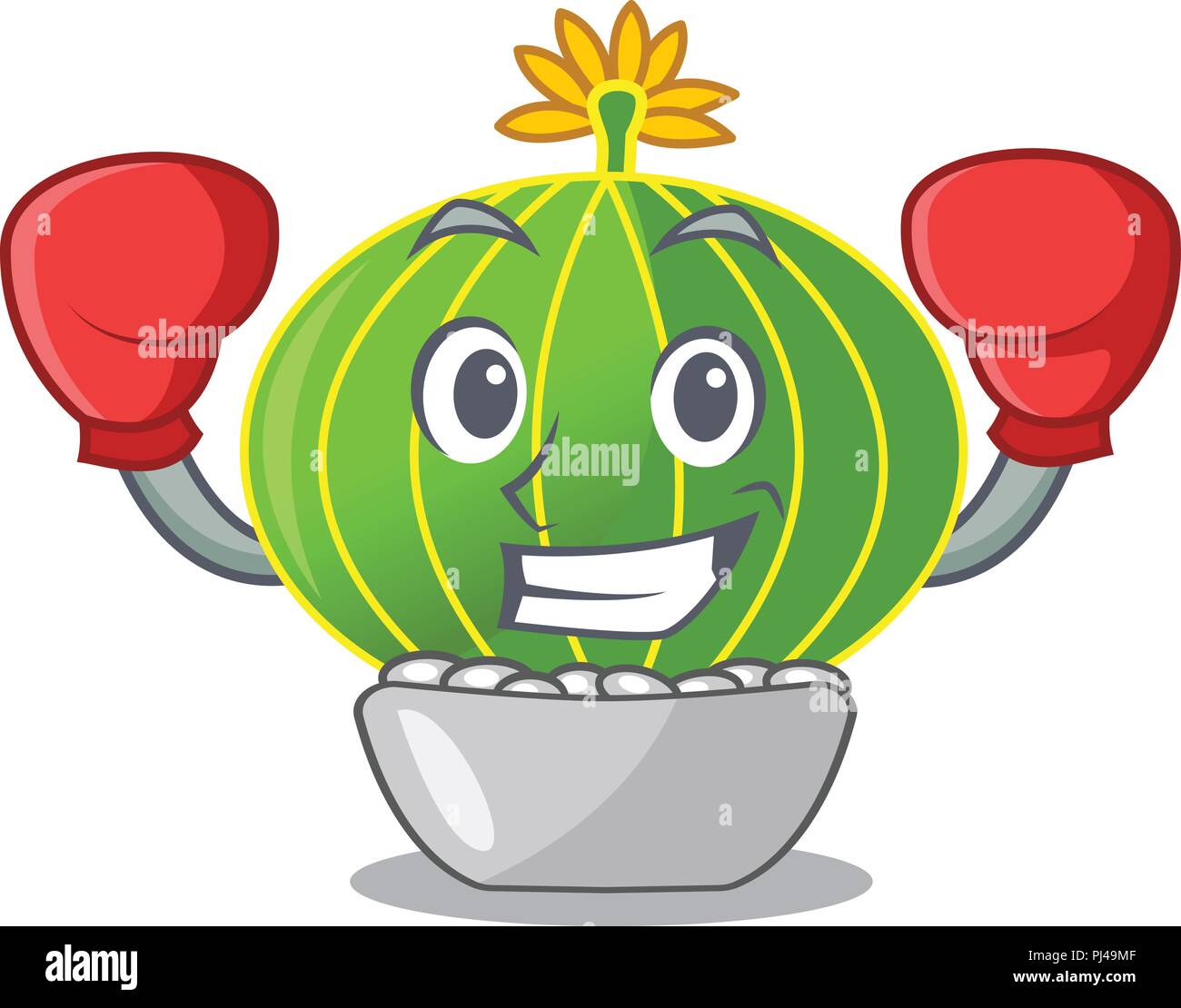 Boxing cartoon notocactus beautiful on the rocks Stock Vector Image ...