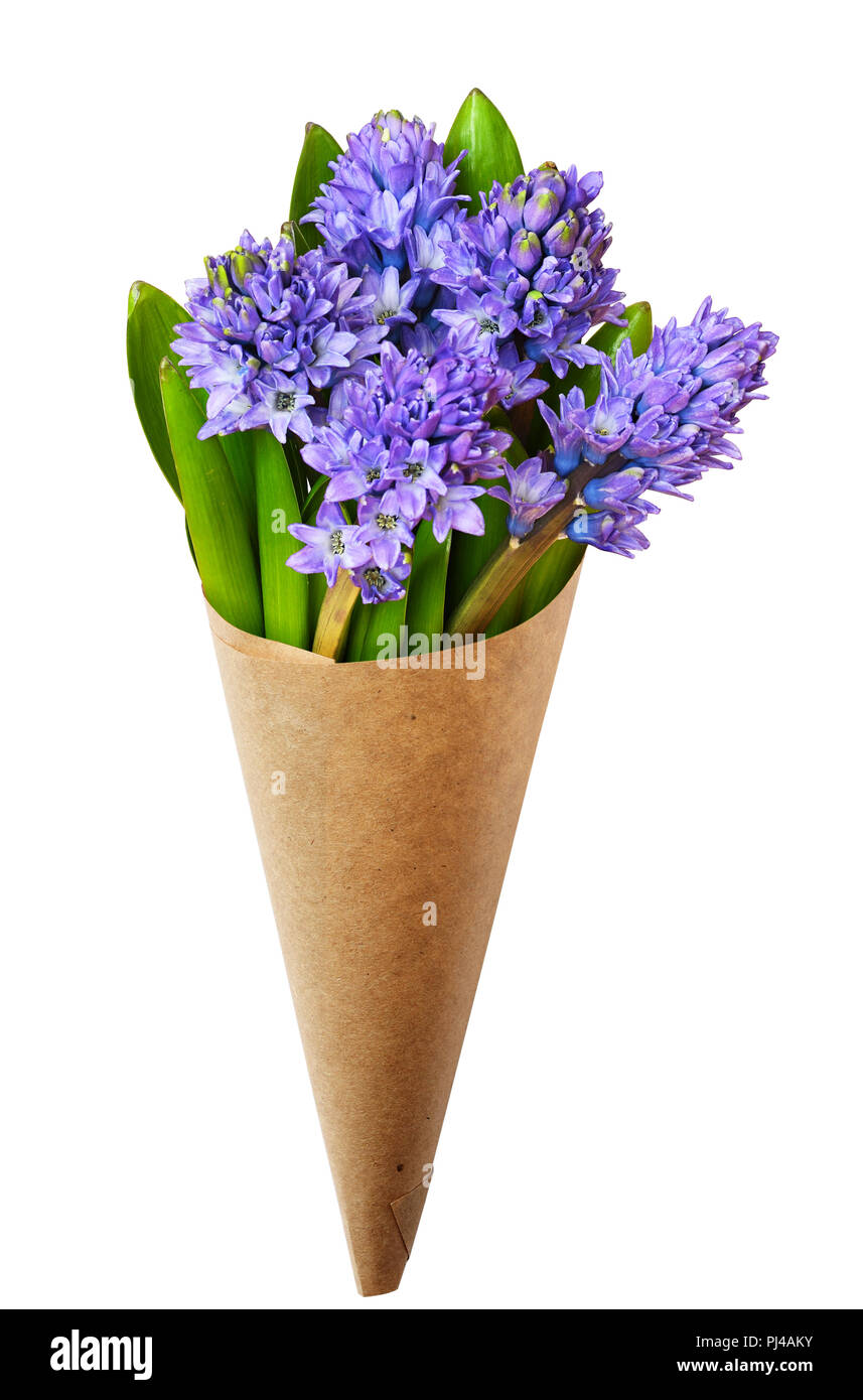 Bouquet of blue hyacinth flowers and leaves in a craft paper cornet ...