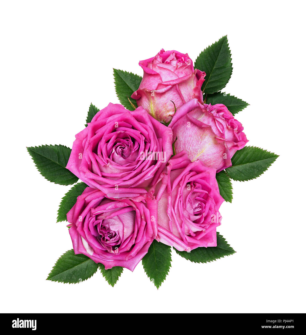 Rosette arrangement Cut Out Stock Images & Pictures - Alamy
