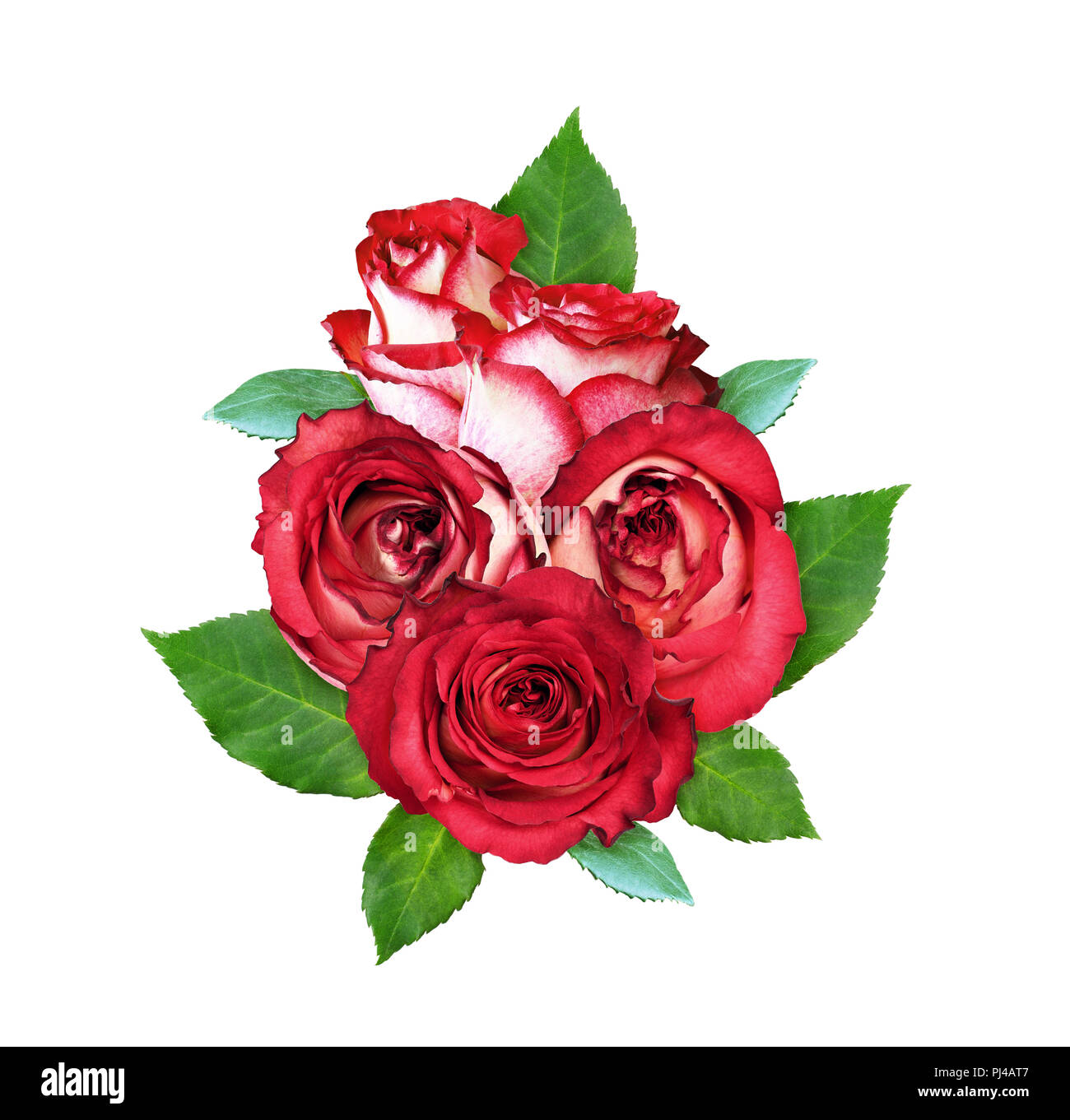 Bouquet of red rose flowers isolated on white Stock Photo - Alamy