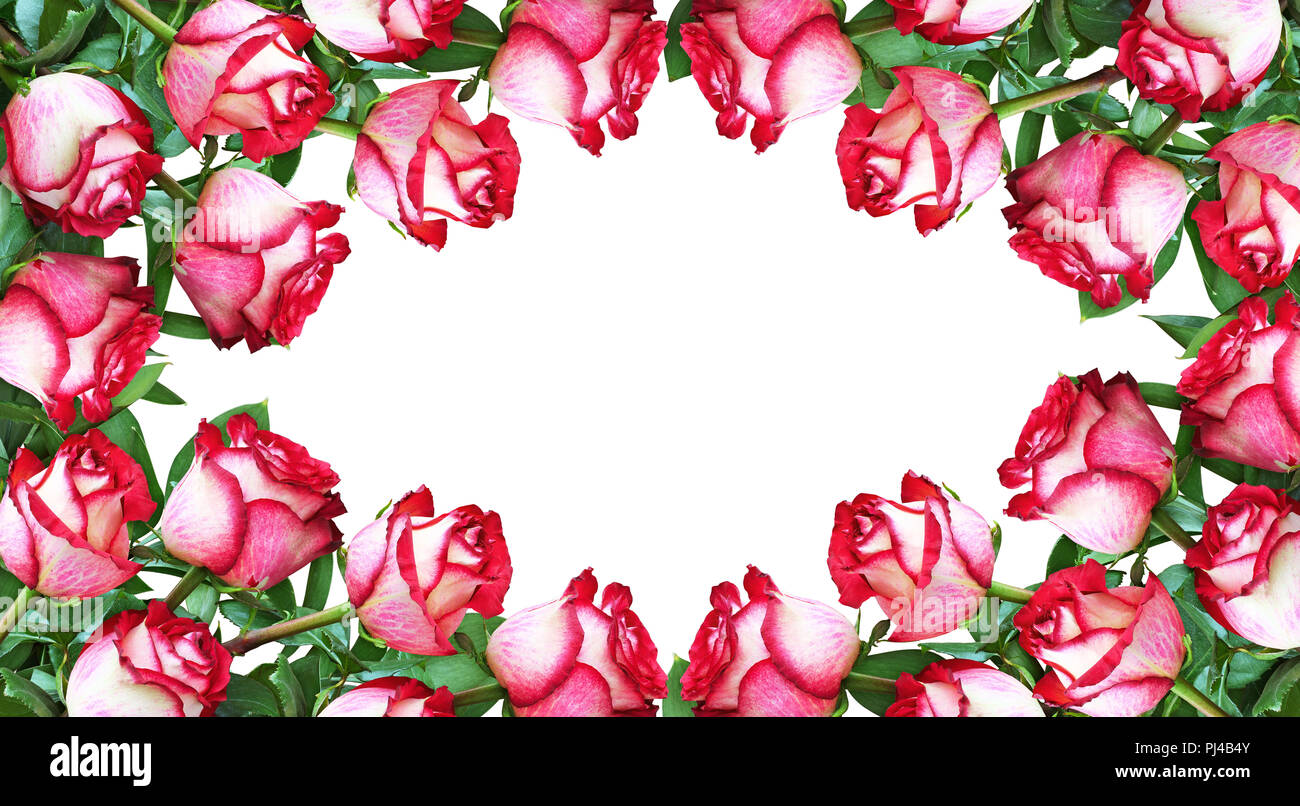 Red And White Roses Frame